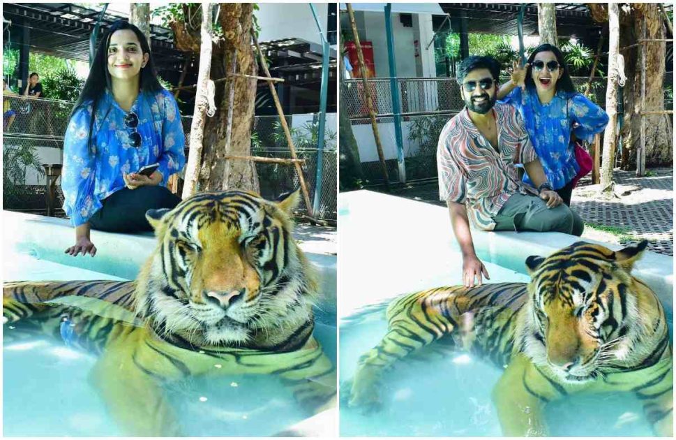 കല്യാണം കഴിഞ്ഞ് നേരെ പുലിമടയിലേക്ക്; ഹണി മൂൺ കപ്പിൾസ് മാളൂട്ടിയും തേജസും എവിടെയെന്നു മനസിലായോ ...